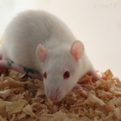 静脉注射糖耐量动物实验 (IVGTT) - Centuryofmedicine